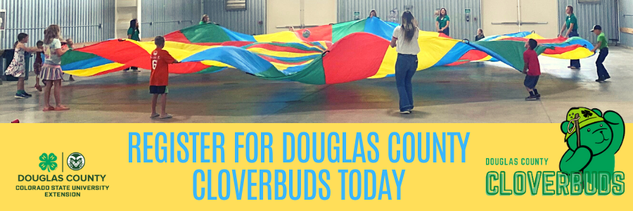 Cloverbuds (ages 5-7) – Douglas County Extension